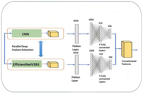 A Hybrid Deep Learning Model With Data Augmentation To Improve Tumor