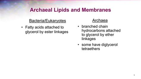4 Archeal Cell Structure Prescottppt