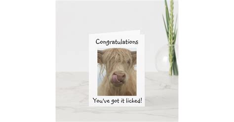 Funny Cow Congratulations Card Zazzle