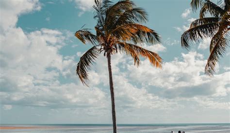 College Students Spring Break 5 Things To Do Besides Go To The Club