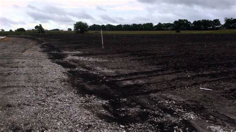 Non Gmo Soybean Test Plot Bigyield