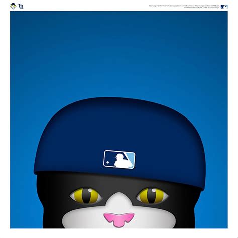 Tampa Bay Rays Dj Kitty 12 X 12 Minimalist Mascot Poster Print
