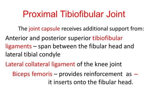 Ankle And Tibiofibular Joint Pptx