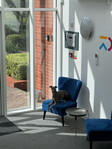 Michael Bowerman Posted On Linkedin