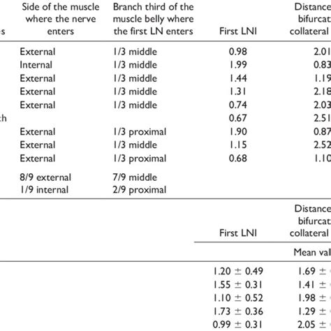 Innervation Patterns Of The Lumbrical Muscles Lms Median Nerve Mn Download Scientific