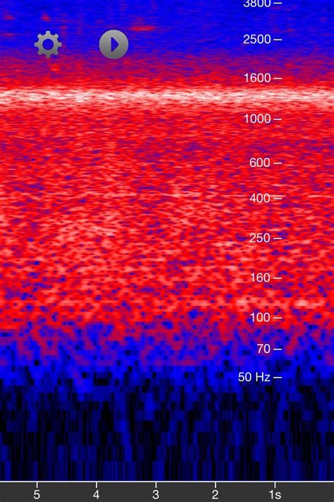 What Insect Is Making This Sound Spectrogram Rinsects