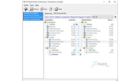 Ftp Synchronizer Professional 81301393 Filecr