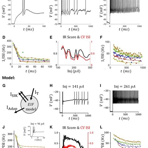 Reproducing The Initial Bursting Irregular Firing Patterns And Download Scientific Diagram