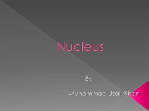 Nucleus Pptx Biological Sciences Science