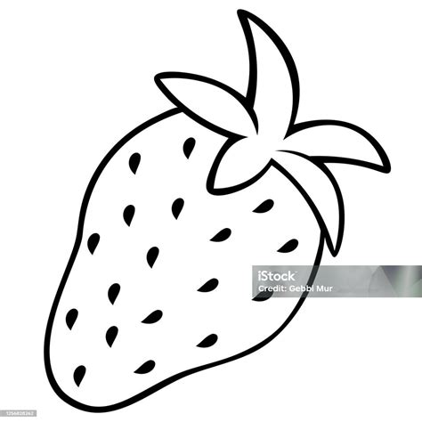 육즙이 많은 딸기 스케치 벡터 스톡 일러스트레이션입니다 격리된 배경의 윤곽선입니다 낙서 스타일 작은 씨앗이있는 잘 익은 베리 어린이를위한 색칠 공부책 비타민 C 화학 물질이