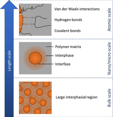 Schematic Overview Of Nanoparticle Interactions At Different Length Download Scientific Diagram