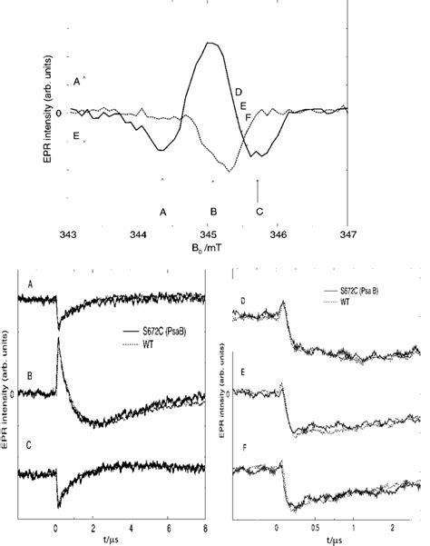 Transient Epr Kinetic Traces At Selected Magnetic Field Positions For Download Scientific