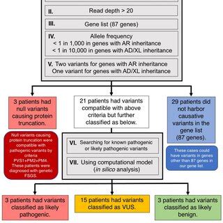Variant Interpretation The Algorithm For Variant Interpretation Five Download Scientific