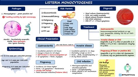 Listeria Infection A Listeria Monocytogenes Bacteriocin Can Target The