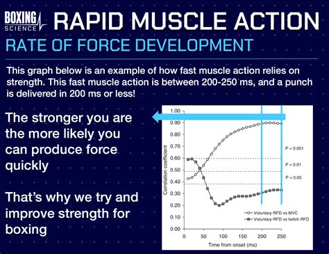 Punch Force Exercises At Vaughn Josephs Blog