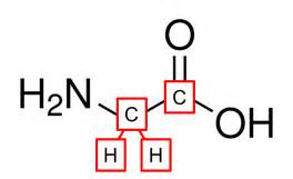 Glycine Lewis Structure
