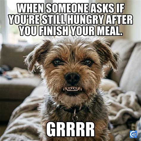 Grrrr Meme S In 4k The Perfect Angry Reaction For Every Mood