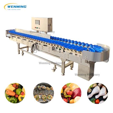 Fruit Grading Machine Turntable Sorting Machine Fruit Weighing And Gra Wm Machinery