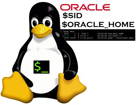 Basics Commands For Dba Part 1 Finding Instance