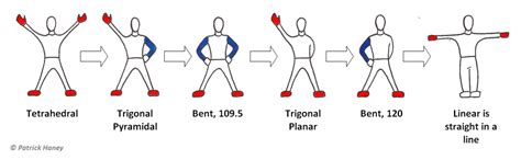 VSEPR Griger Science