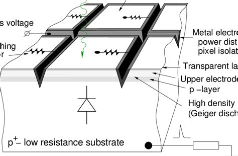 The Schematic View Of The Mrs Photodiode Structure Download Scientific Diagram
