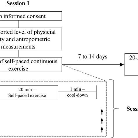 Translation And Cultural Adaptation Of The Physical Activity Enjoyment Download Scientific