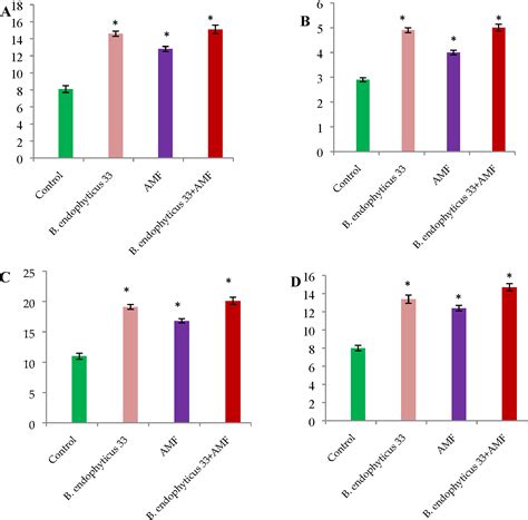 Antonio Olalde Morto