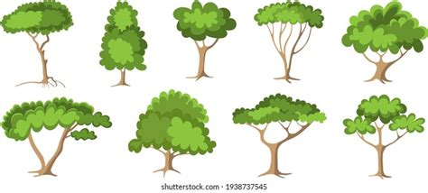 Tree Tattoo Colored Images Stock Photos Vectors Shutterstock