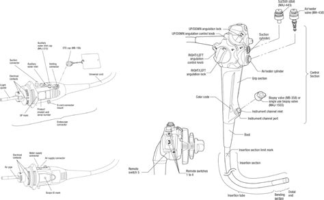 Endoscopy Design Guide At Janet Bailey Blog