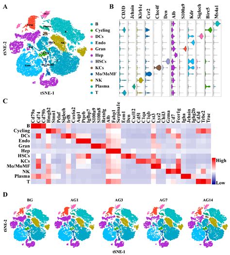 Mouse Liver Rna Extraction At Leon Donovan Blog