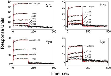 Surface Plasmon Resonance Spr Analysis Of Sh3 Interactions With The
