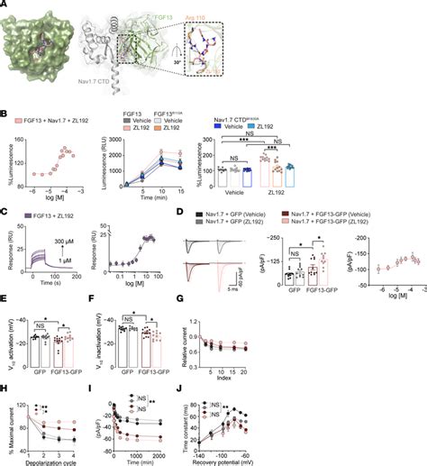 Jci Sensory Neuron Expressed Fgf13 Controls Nociceptive Signaling In Diabetic Neuropathy Models