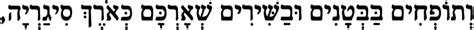 Hebrew Issues Issue Tesseract Ocr Langdata GitHub