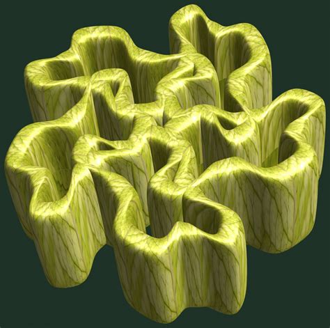 무료 이미지 구조 조직 꽃잎 무늬 녹색 생기게 하다 노랑 디자인 대칭 3d 그래픽 오르간 큰 쇠시리 수학자 Cg Parametricplot3d