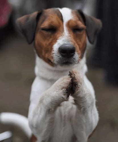 Praying  S Tenor