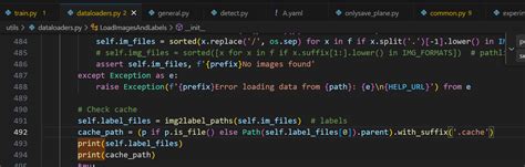 Cache Results Differ From My Uploaded Labels Issue Ultralytics Yolov GitHub