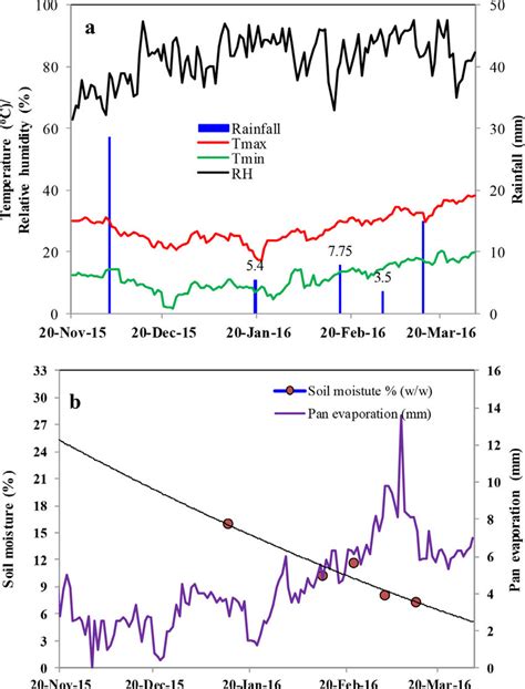 Daily Minimum And Maximum Temperatures °c Rainfall Mm Relative Download Scientific