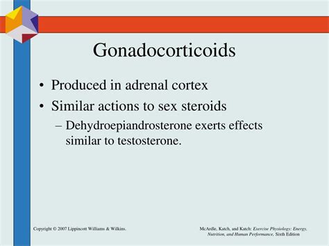 Ppt Chapter 20 Powerpoint Presentation Free Download Id 4168059