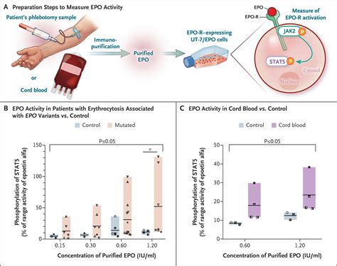 Identification Of Hepatic Like Epo As A Cause Of Polycythemia New