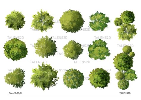 Tree Top View 2d Landscape Clipart In Png Etsy