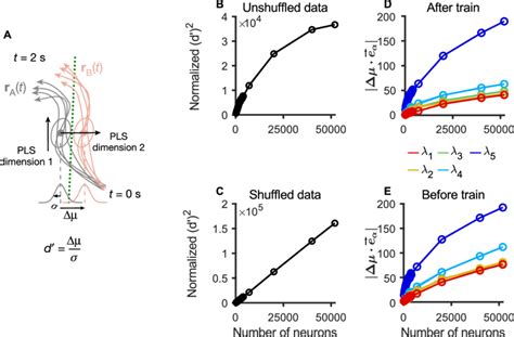 the impact of correlated noise on neural coding fidelity in the billeh