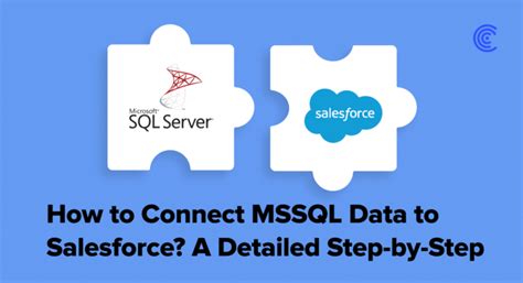 Mastering Mssql Data To Csv Export 3 Foolproof Methods