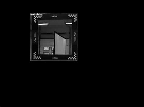 region of interest extraction by cropping the resulting image holds
