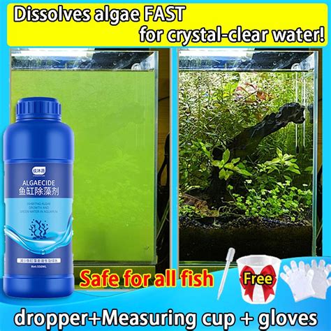 Water Purification Algae Remover For Home 500ml Algae Remover Shopee Philippines