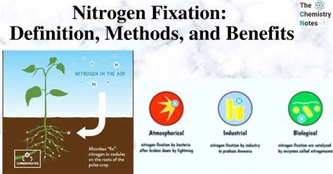 Nitrogen Fixation Definition Methods And Benefits
