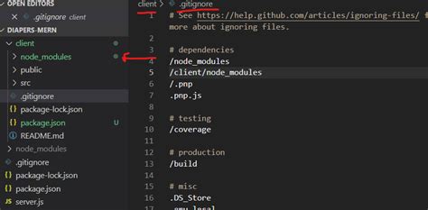 Help With Gitignore For Node Modules R React