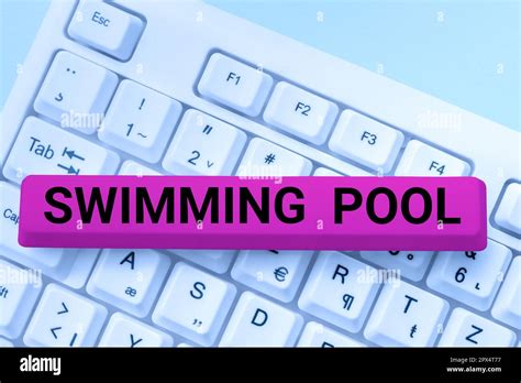 Writing Displaying Text Swimming Pool Concept Meaning Structure Designed To Hold Water For