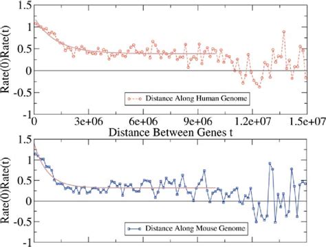 Correlation Length Analysis Of Substitution Rates Correlation Of