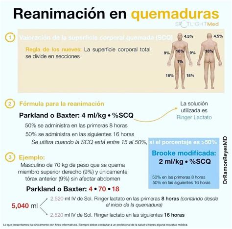 Ems Solutions International Reanimación En Quemaduras Actualización
