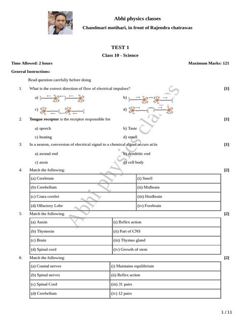 Question 1495521 Pdf Nervous System Neuron